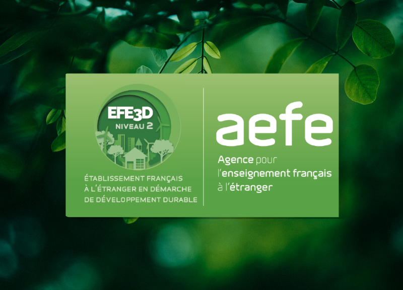 Obtuvimos la insignia EFE3D Nivel 2 de la AEFE
