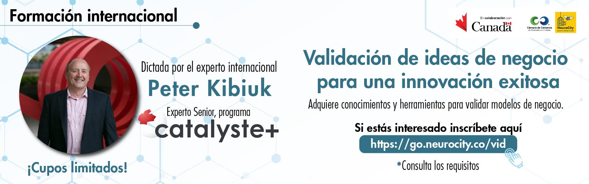 Validación de ideas de negocio para una innovación exitosa